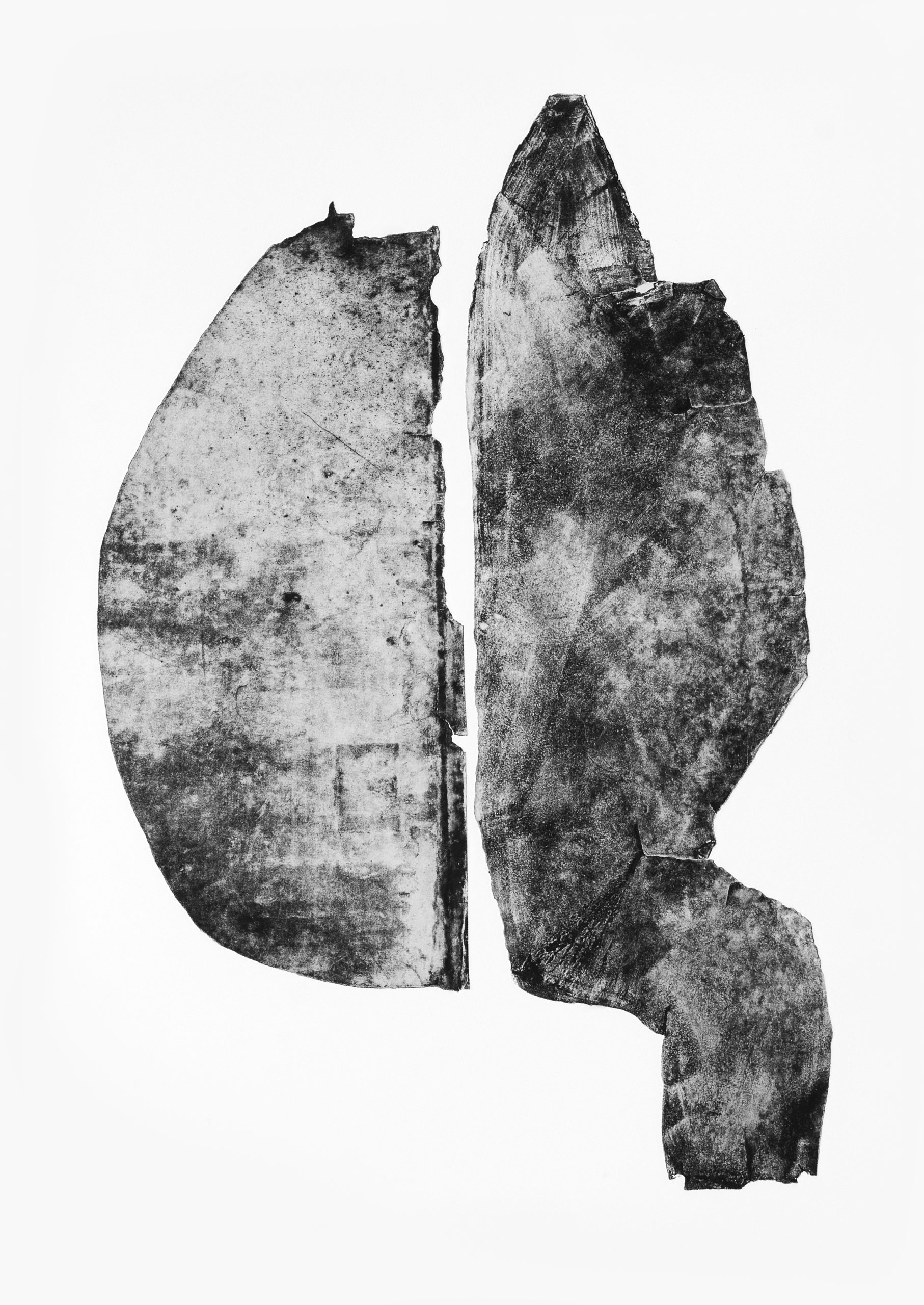 dr hab. Anna Sadowska – NAJLEPSZY DYPLOM GRAFIKA